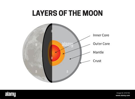 Layers Of The Moon Inner Core Outer Core Mantle And Crust Infographic Illustration Stock