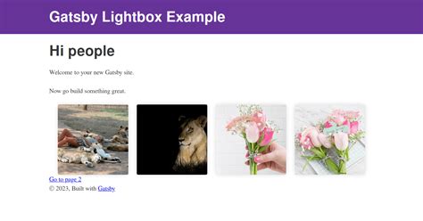 Lightbox React Examples Codesandbox