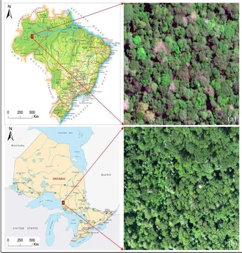 Figure 1 From A New Individual Tree Crown Delineation Method For High