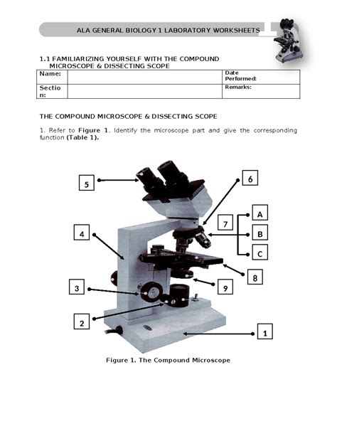 01a Ala General Biology 1 Lab Worksheets Basic Microscopy Exercises