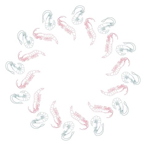 Premium Vector Shrimp Vector