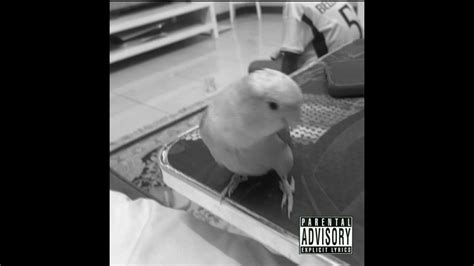 ‏أغنية ايبا Youtube