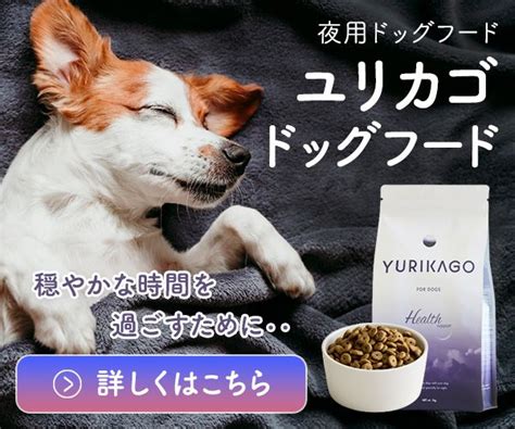 夜用ドッグフード 健やかに過ごしたい毎日をサポート600 X 500 バナー広場 バナーデザインのまとめサイト Banner