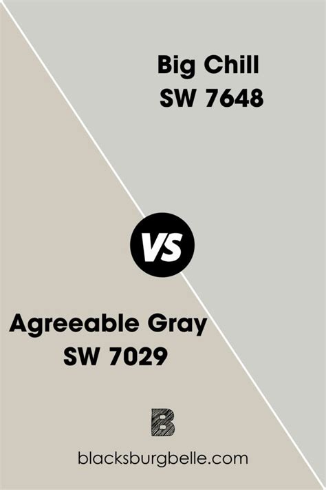 Sherwin Williams Big Chill Sw 7648 Paint Color Review
