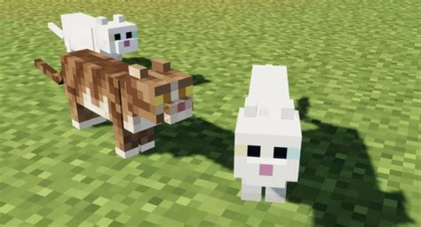 Minecraft Cat Types How Many Cat Types Are There In Minecraft Ydymo