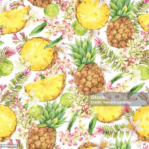 수채화 빈티지 열대 여름 과일 원활한 패턴 파인애플 흰색 파인애플에 대한 스톡 벡터 아트 및 기타 이미지 파인애플 0명 과일 Istock