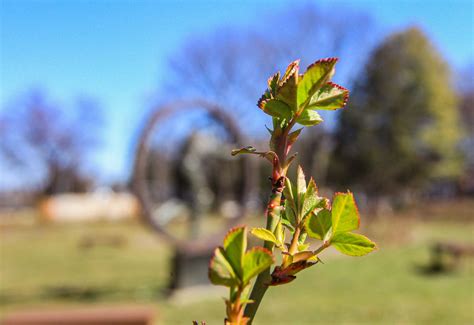 Lehigh Valley Weather Highs Hit 80 Degrees In Late Week Forecast