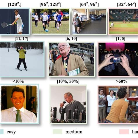 Samples From The Coco Dataset Separated By Their Input Bounding Box