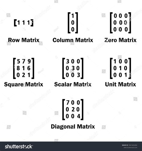 Types Matrices On White Background Stock Vector Royalty Free