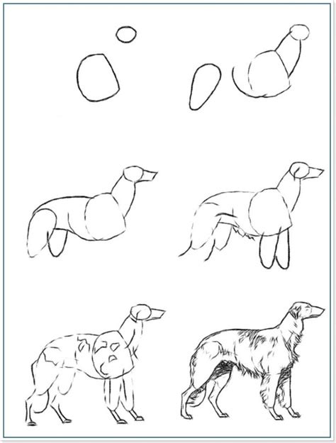 Как нарисовать собаку Блог художника