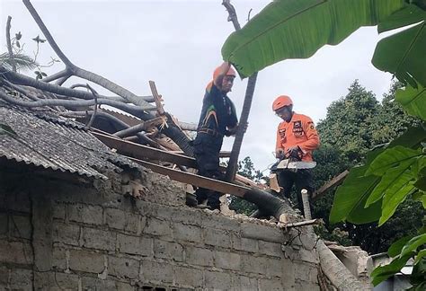 Angin Kencang Membuat Pohon Tumbang Satu Rumah Tertimpa Okezone
