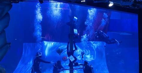 Unik Ada Lomba Panjat Pinang Di Dalam Air Di Jakarta Aquarium