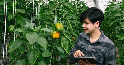 농업it스마트팜 1 스마트팜에 관심을 가져야 하는 이유