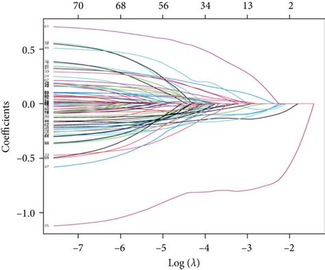 a cross validation for adjusting parameters in the lasso regression