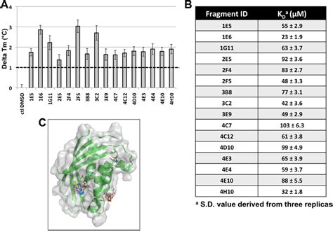Binding Fragments Identified By Dsf Screening A Replicates Of Dsf
