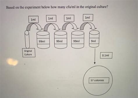 Solved Based On The Experiment Below How Many Cfu Ml In The Chegg Com