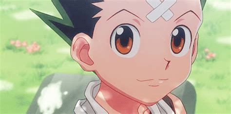 View 15 Gon Freecss Smile  Blockmwasuta