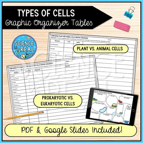 Introduction To Cells One Pager Worksheet Graphic Organizer Templates