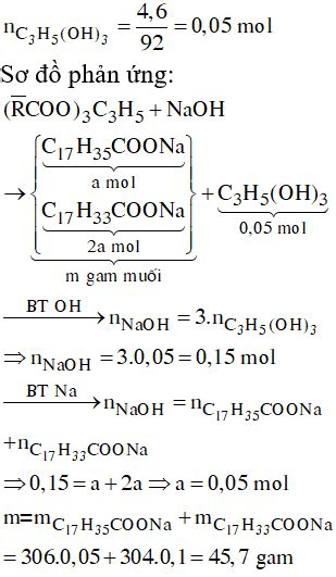 Thủy phân hoàn toàn triglixerit X trong dung dịch NaOH dư thu được 4 6 gam