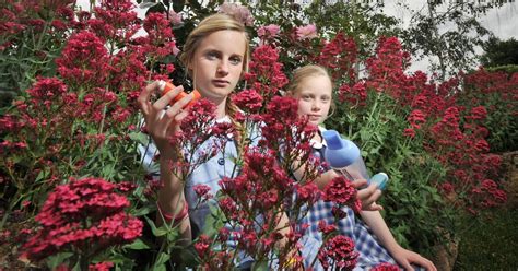 Health Warning Amid High Risk Period For Asthma In Nsw South Coast Register Nowra Nsw