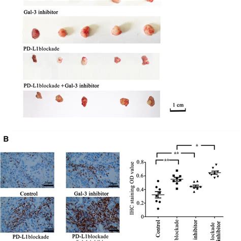 Synergistic Antitumor Effect Of Pd‐l1 Blockade And Gal‐3 Inhibition On