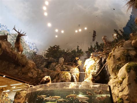 Bass Pro Shops 5000 Canoe Pass Wy Tsawwassen Bc Hours Directions