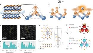 Surface Functionalization Of Two Dimensional Metal Chalcogenides By