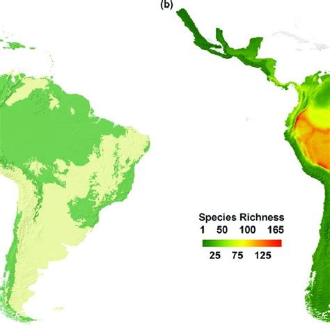 Neotropical Geographical Patterns Of A Primary Habitats Forest And Download Scientific