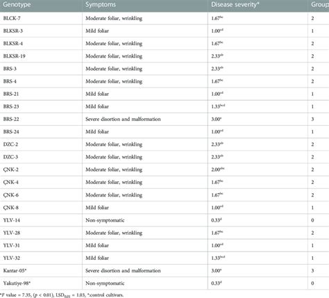 Classification Of Common Bean Genotypes Based On Symptom Severity