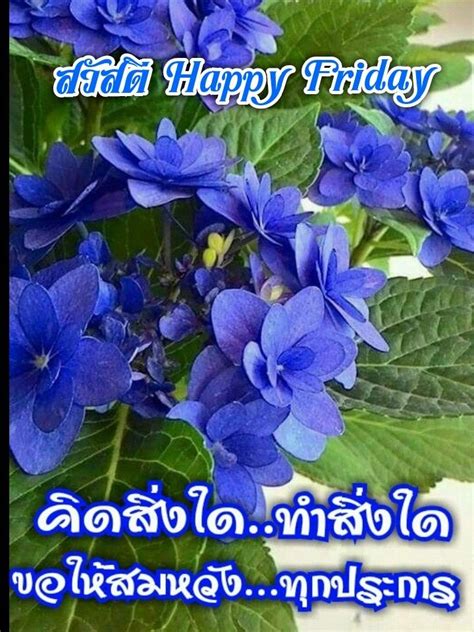Pin Von สายนํา้มูล ประชาราษฏร์ Auf วันศุกร์สีฟ้า
