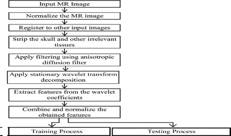 Figure 1 From A New Topology For Tumour And Edema Segmentation Using
