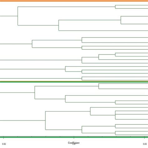 Similarity Tree Based On Morphological Features Of Maternal Strain Id23 Download Scientific