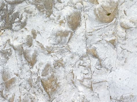 600 Texture Wallpapers