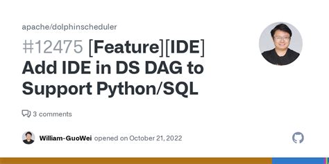 Feature Ide Add Ide In Ds Dag To Support Pythonsql · Issue 12475