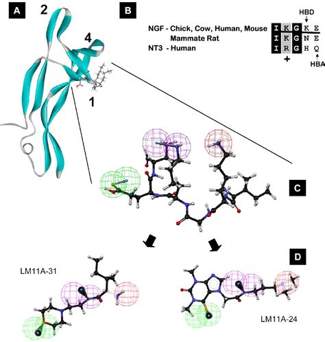 Gepotidacin New Drug Approvals