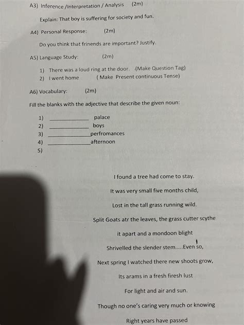 A3 Inference Interpretation Analysis 2m Explain That Boy Is Suffe