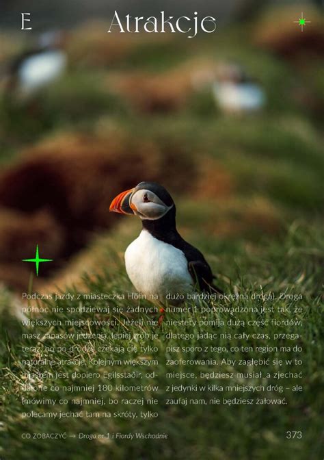 Islandia przewodnik e-book - lostitalianos-sklep.com