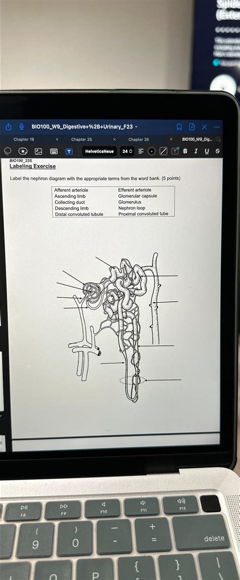 Solved Label Exercise Chegg