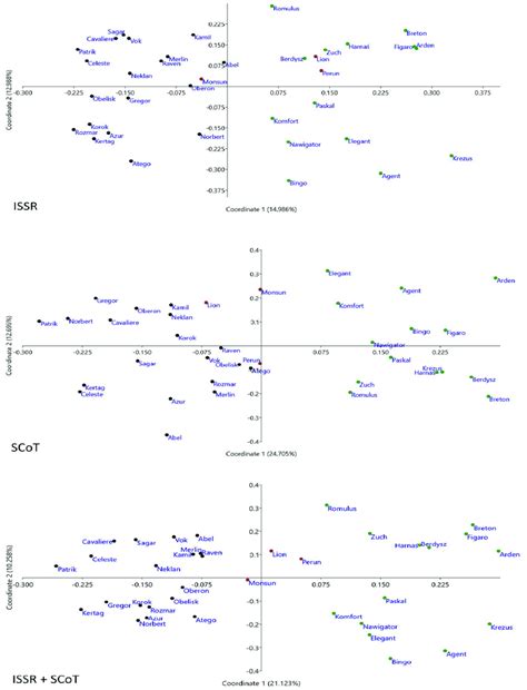 biplot of the pcoa analysis of the 36 a sativa l cultivars the