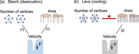 Correlation Diagram Among The Number Of Vertices Crosssectional Area Download Scientific