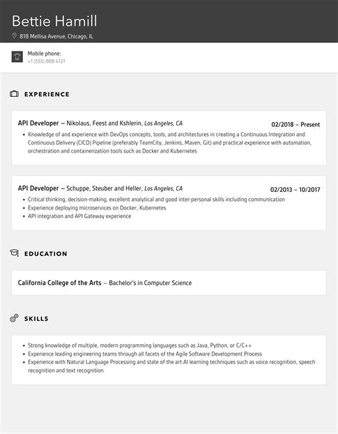 API Developer Resume Samples Velvet Jobs