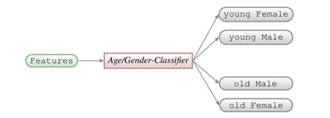 scheme of utilized 1x4 class classifier using one age gender