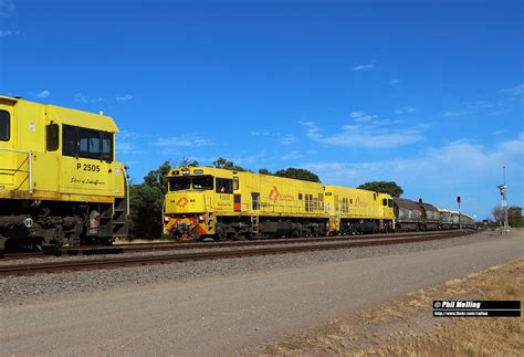 28 January 2025 5 P2505 And P2503 P2517 3g30 Empty Grain T Flickr