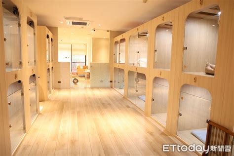潘慧如開寵物旅館賠千萬！ 「想要延續對狗的愛」：一直在燒積蓄 Ettoday星光雲 Ettoday新聞雲