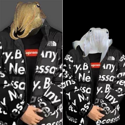 Cuttlefish Gang Is Back To Revive This Dead Ass Forum General