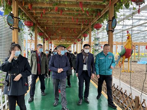 先行区共建上海市农业科学院全体院管干部赴金山调研先行区共建工作 先行区共建 新闻中心 上海市农业科学院