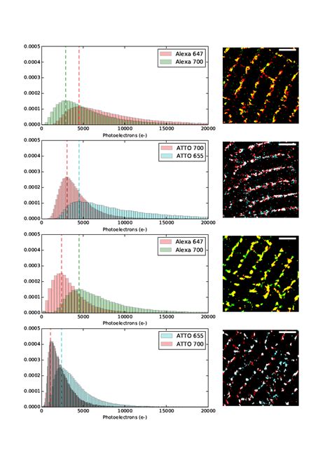 3 Normalised Histograms Of Photoelectron Count Per Event Detected And
