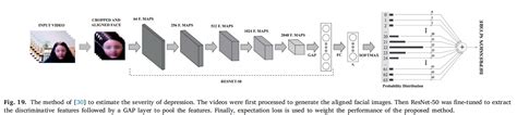 基于多模态的抑郁症识别入门综述——deep Learning For Depression Recognition With