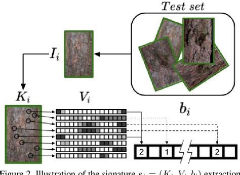 Figure 2 From Tree Bark Re Identification Using A Deep Learning Feature