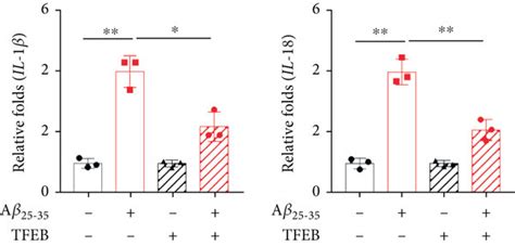 A Western Blotting Analysis Of The Expression Of Tfeb In Nucleus Was Download Scientific
